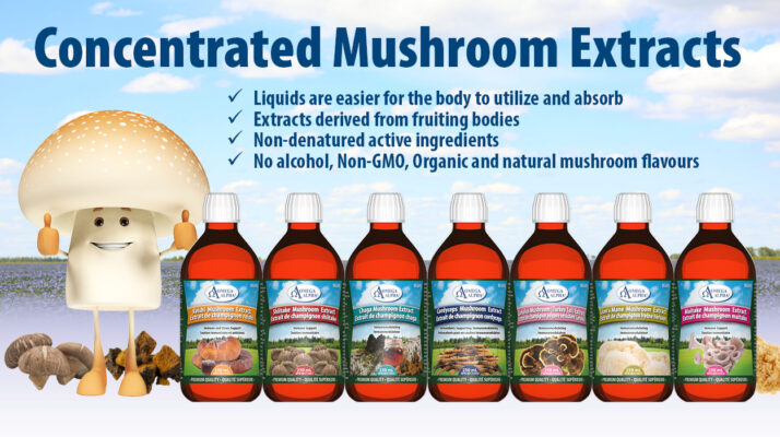 Home - Omega Alpha Store USA